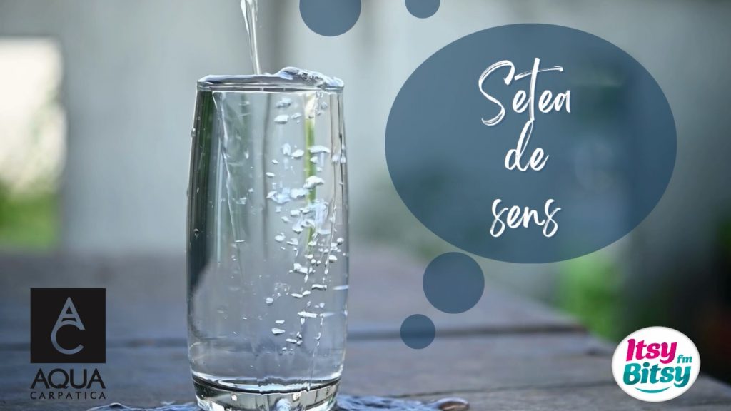 Setea de sens - Itsy Bitsy